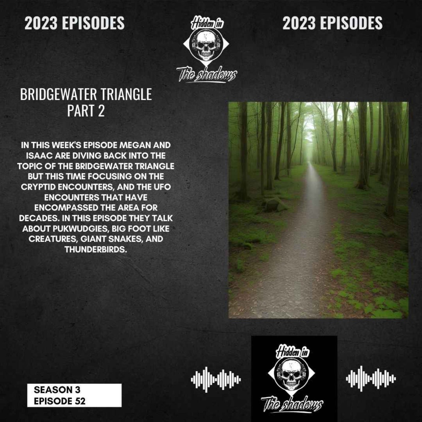 Bridgewater Triangle Sightings
